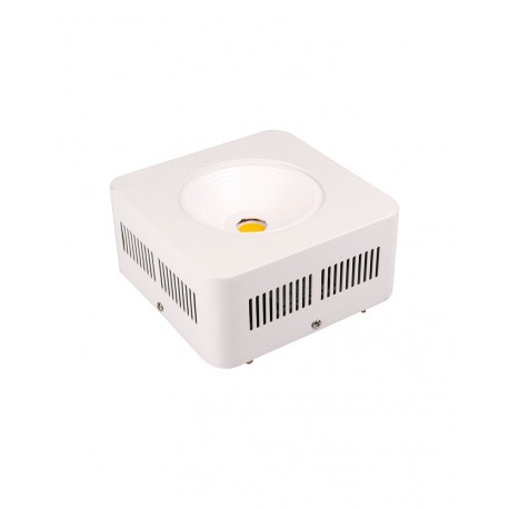 Led BionicPan P250W - BionicLed